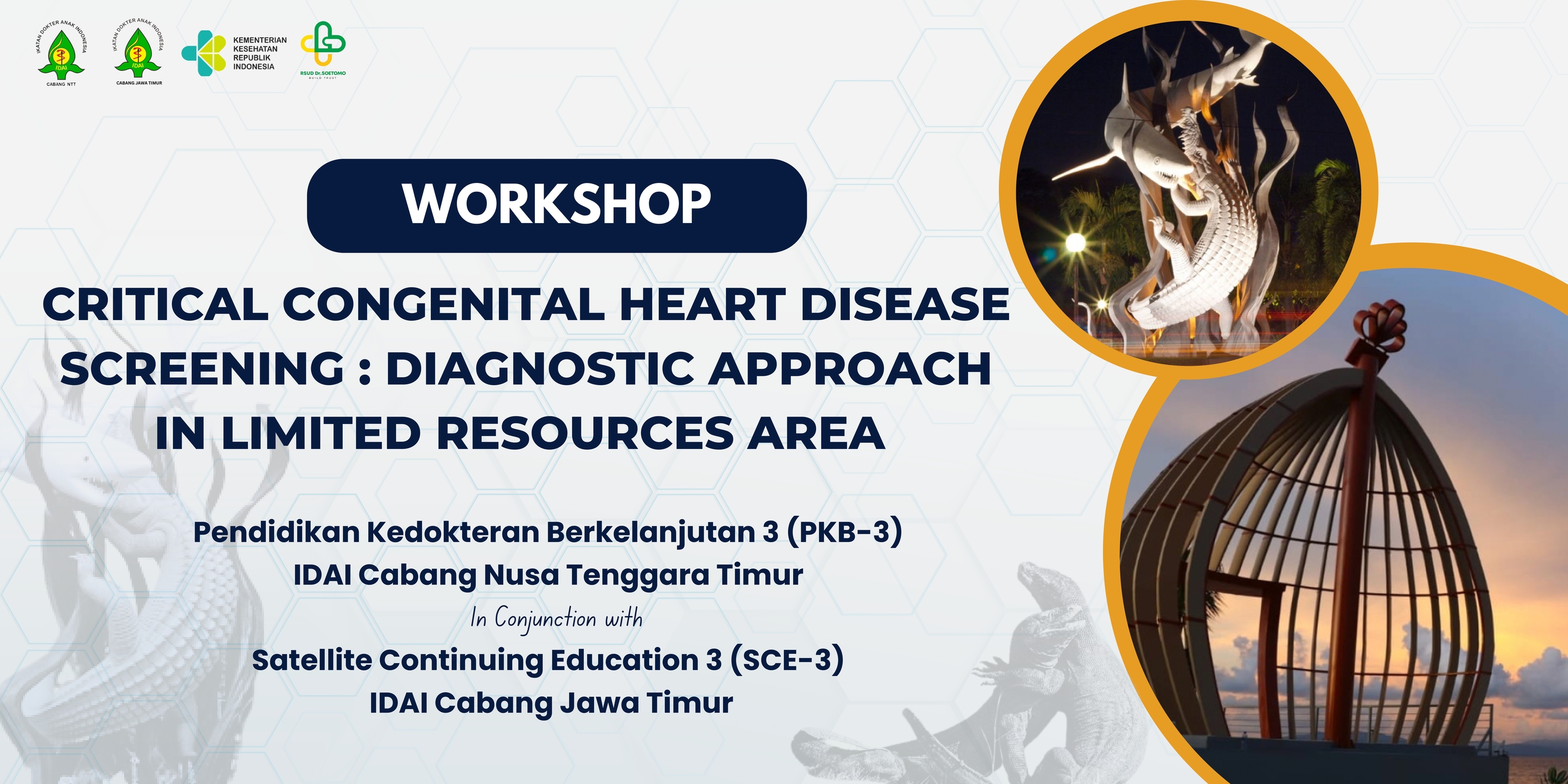 Workshop Critical Congenital Heart Disease Screening Diagnostic ...